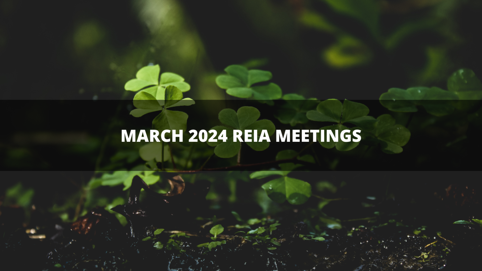 Find Your Local Real Estate Investor Meetings for March 2024